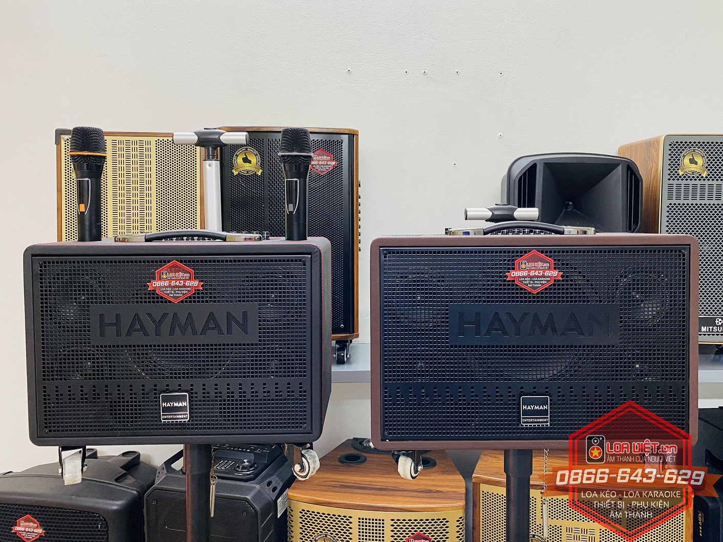 Loa xách tay HAYMAN X8-8